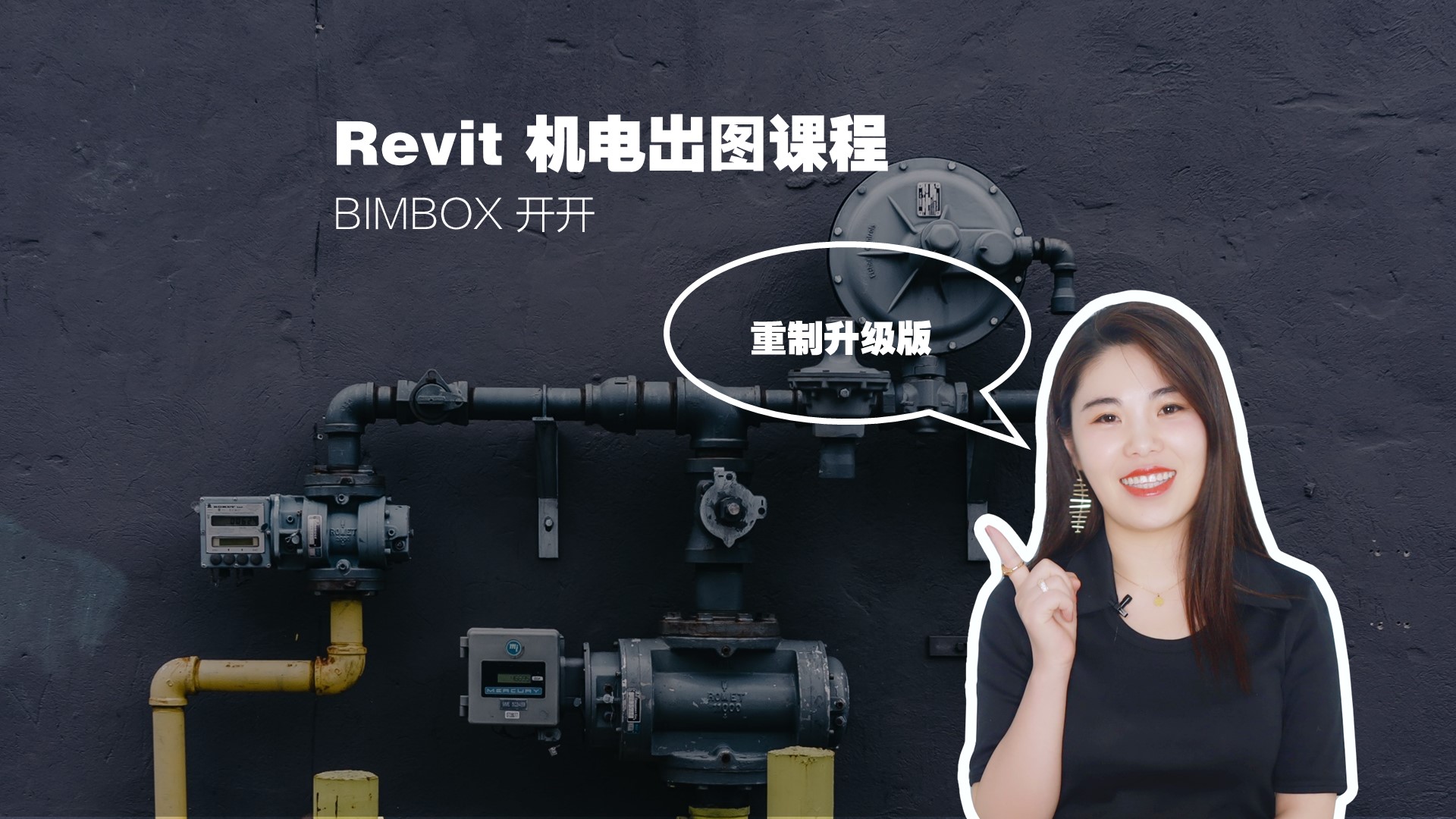 两套办法，两个插件，BIM信息批量搞到Revit里 – BIMBOX
