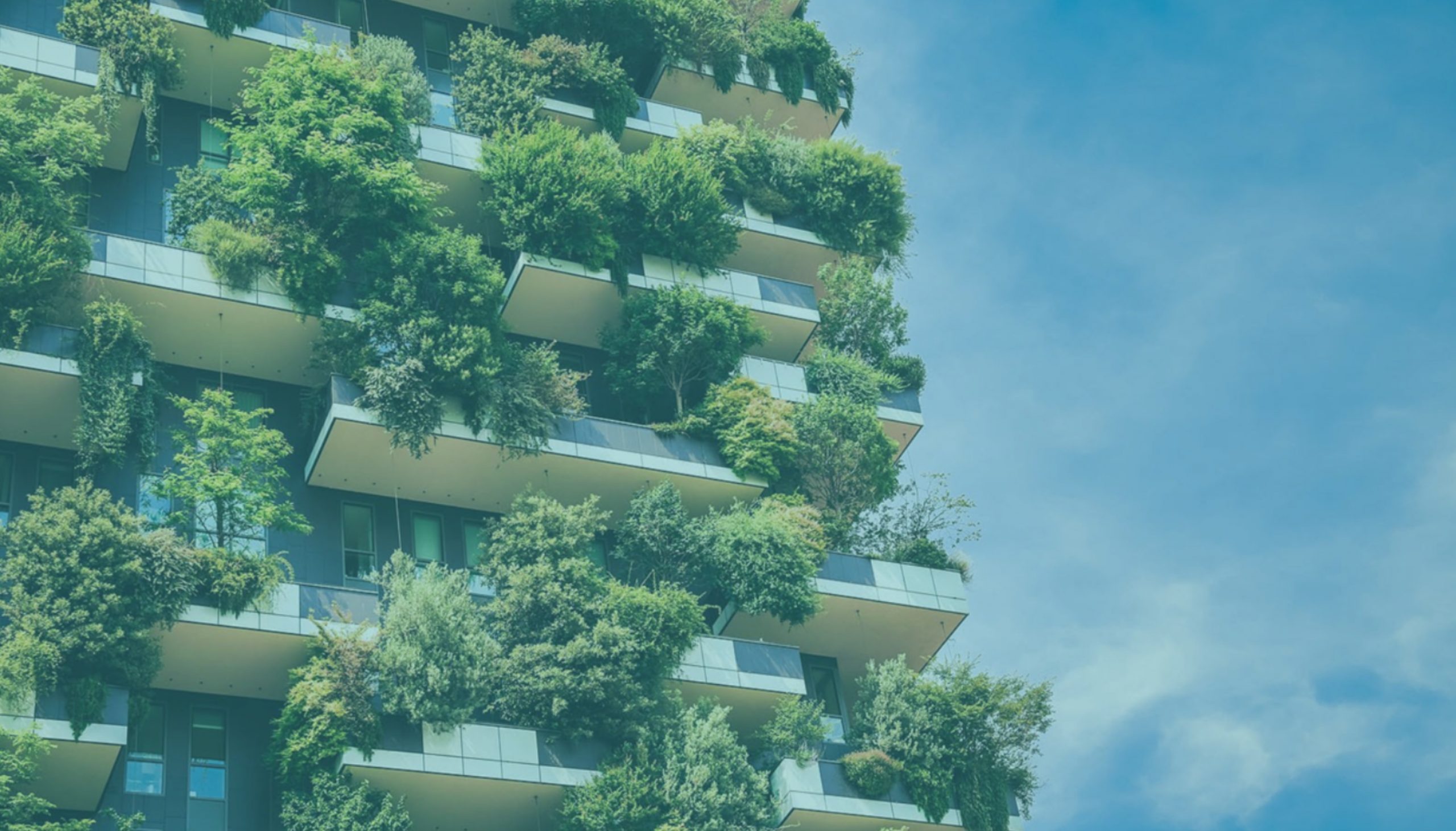 Enscape大更新：彻底改变BIM实时可视化 – BIMBOX